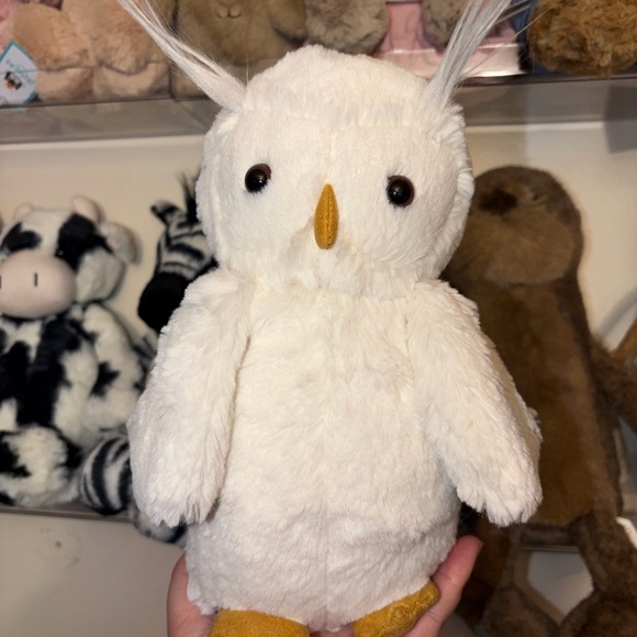 Jellycat | Toys | Jellycat Bashful Owl Nwt | Poshmark